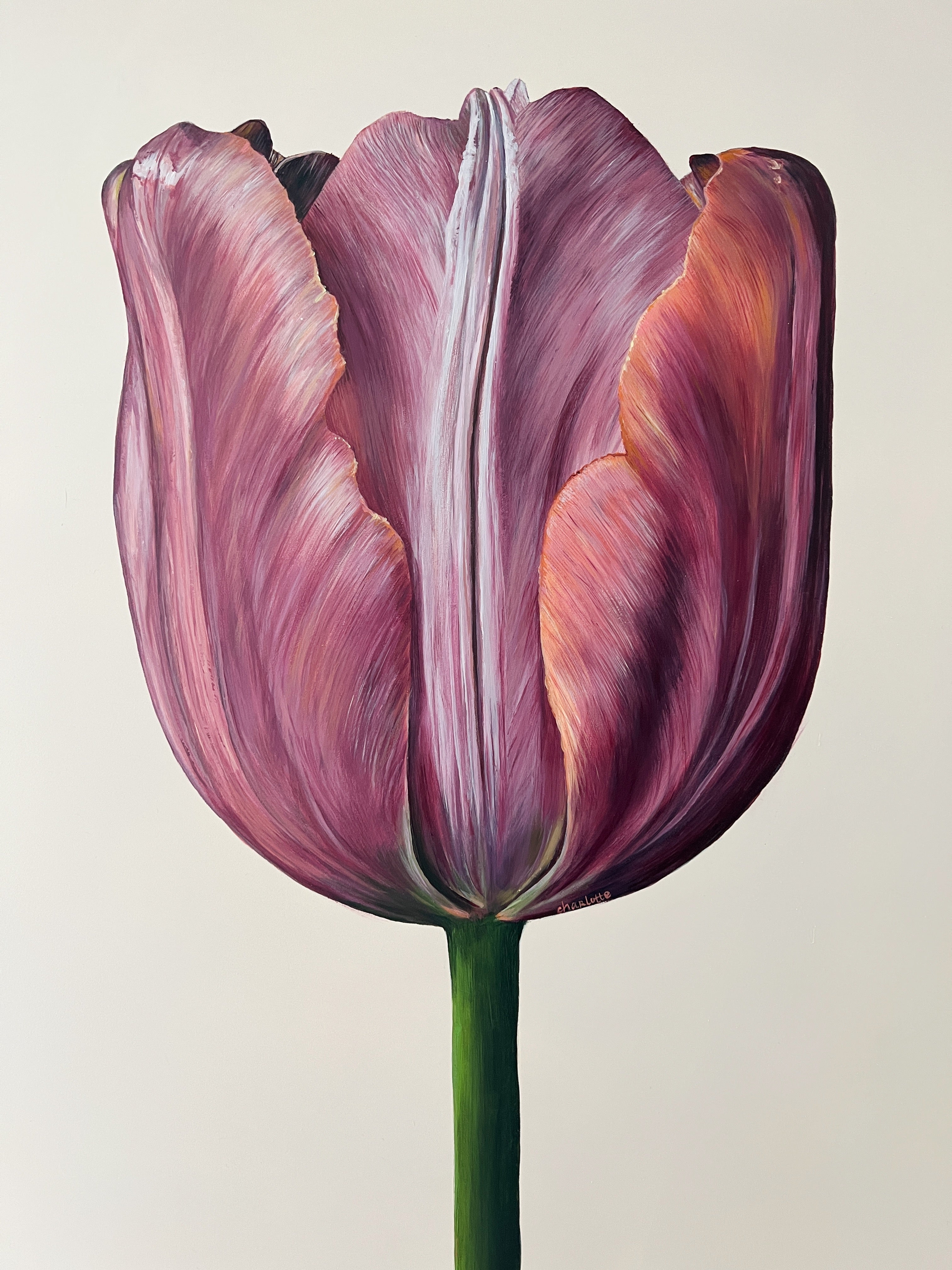 Charlotte Fraser - Originals – The Miller Gallery