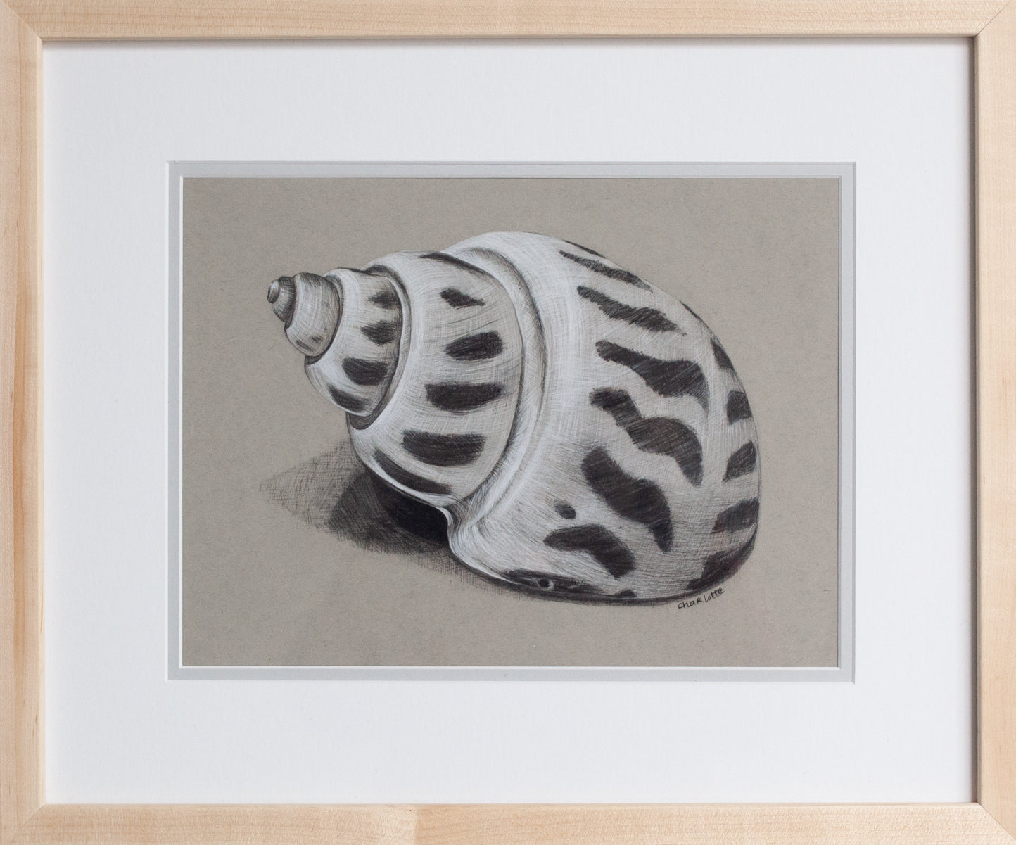 Babylon Shell by Charlotte Fraser – The Miller Gallery