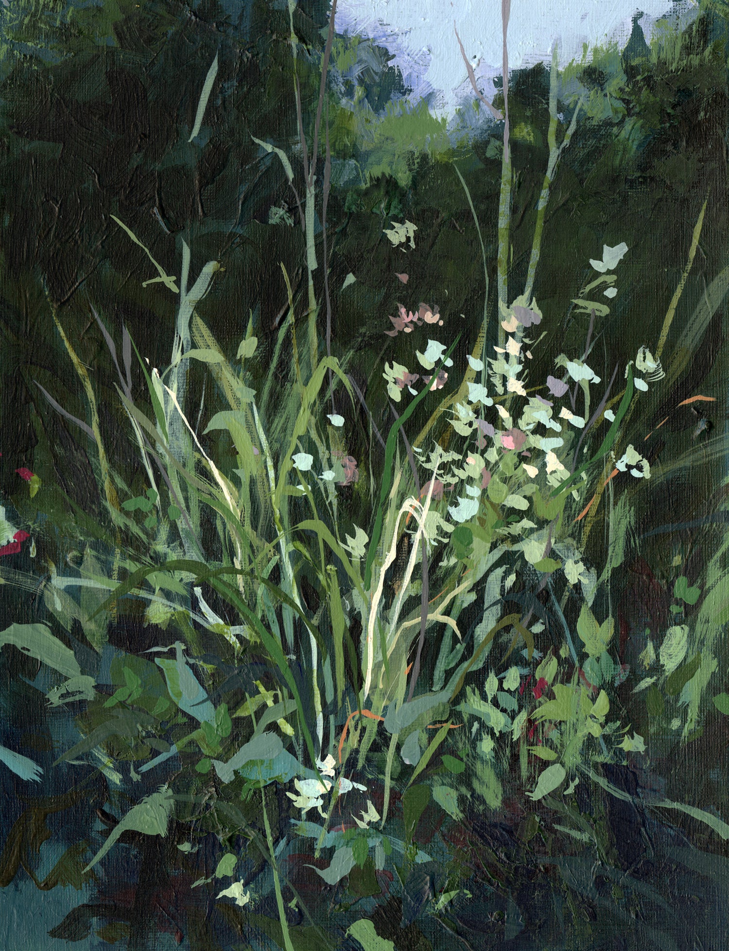 Dark Study 3a by Jennifer Mohr – The Miller Gallery