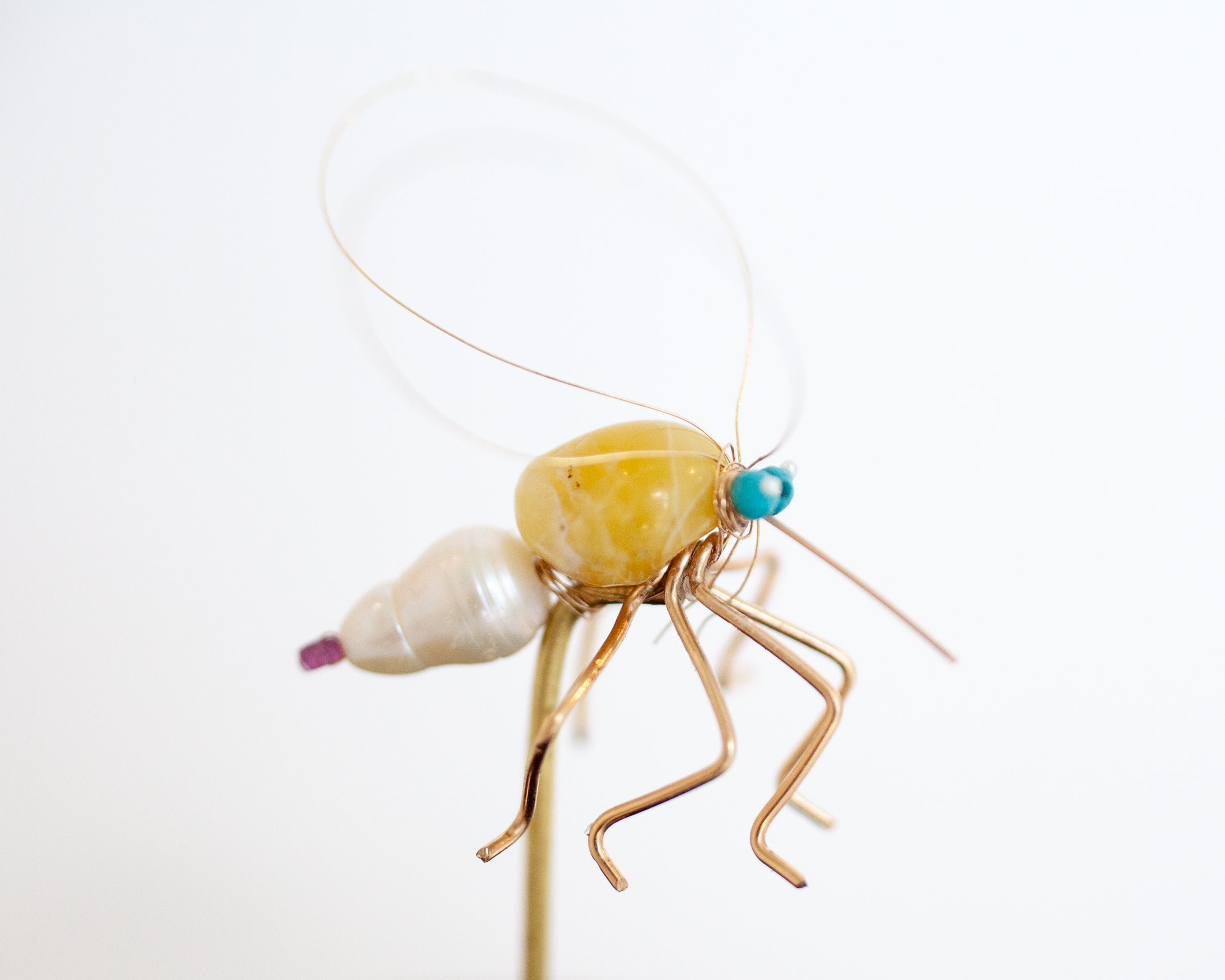 Mosquito Jewel Bug by Kate Hooray Osmond – The Miller Gallery