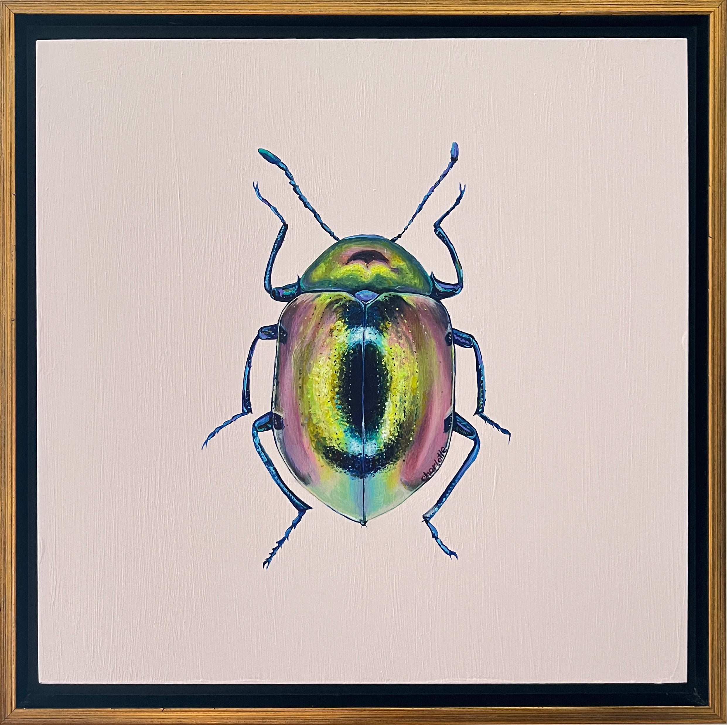 Margaery | Charlotte Fraser – The Miller Gallery
